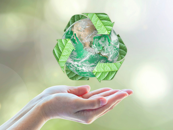 C'est quoi la biodégradabilité ? Tout savoir sur le site d'Etamine du lys